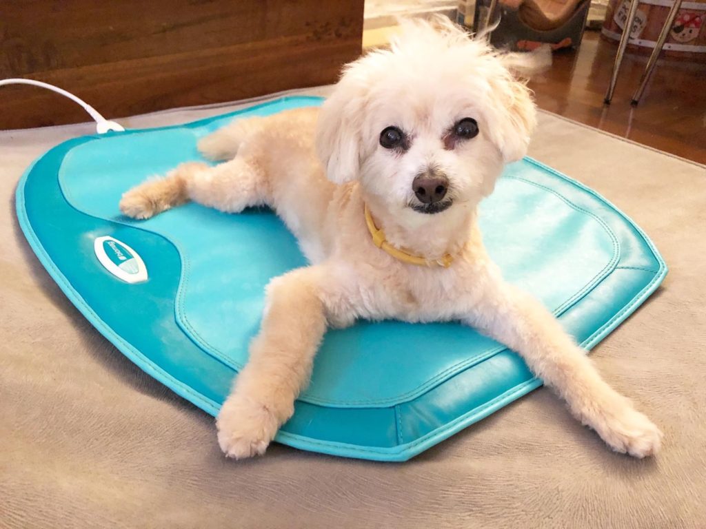 Find out how the Furry Temples have experienced amazing results with ...